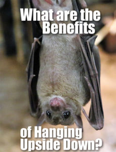 What are the Benefits of Hanging Upside Down?